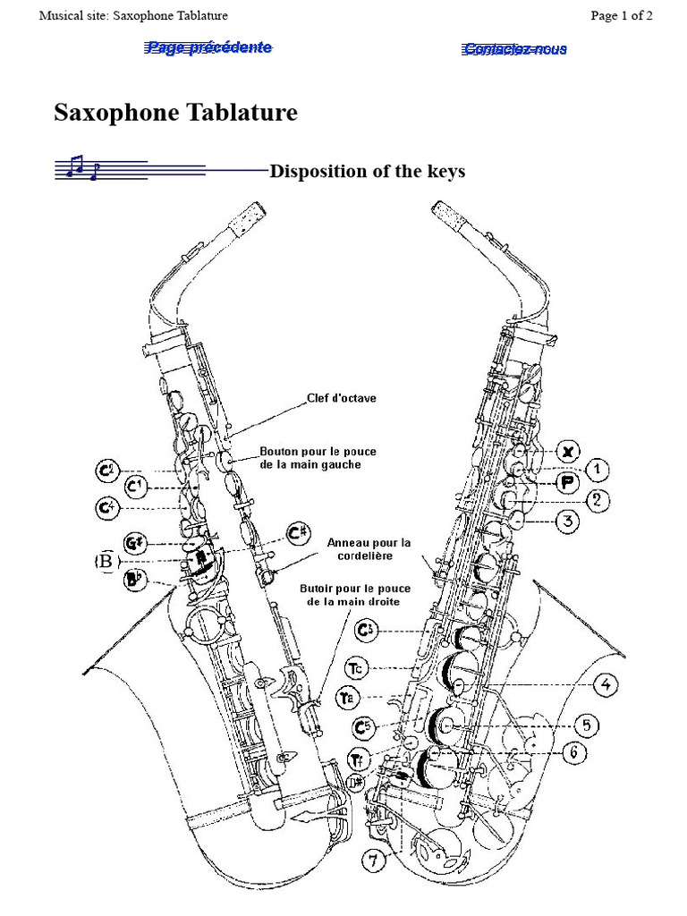 Alto Saxophone - Tab and Keys 1 | PDF | Saxophone | Musicology
