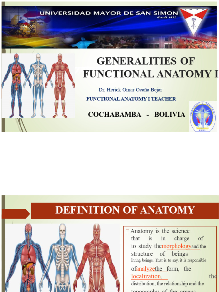 Topic 1 Generalities of Functional Anatomy | PDF