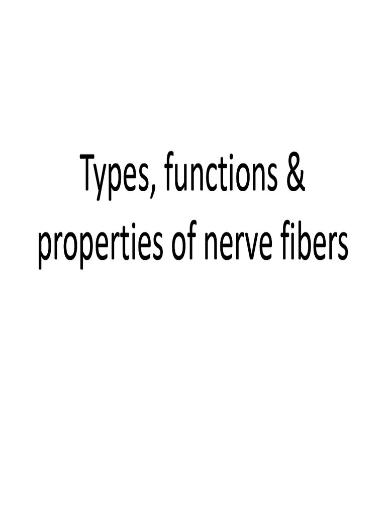 Nerve Fiber Types and Functions Explained | PDF | Axon | Nerve