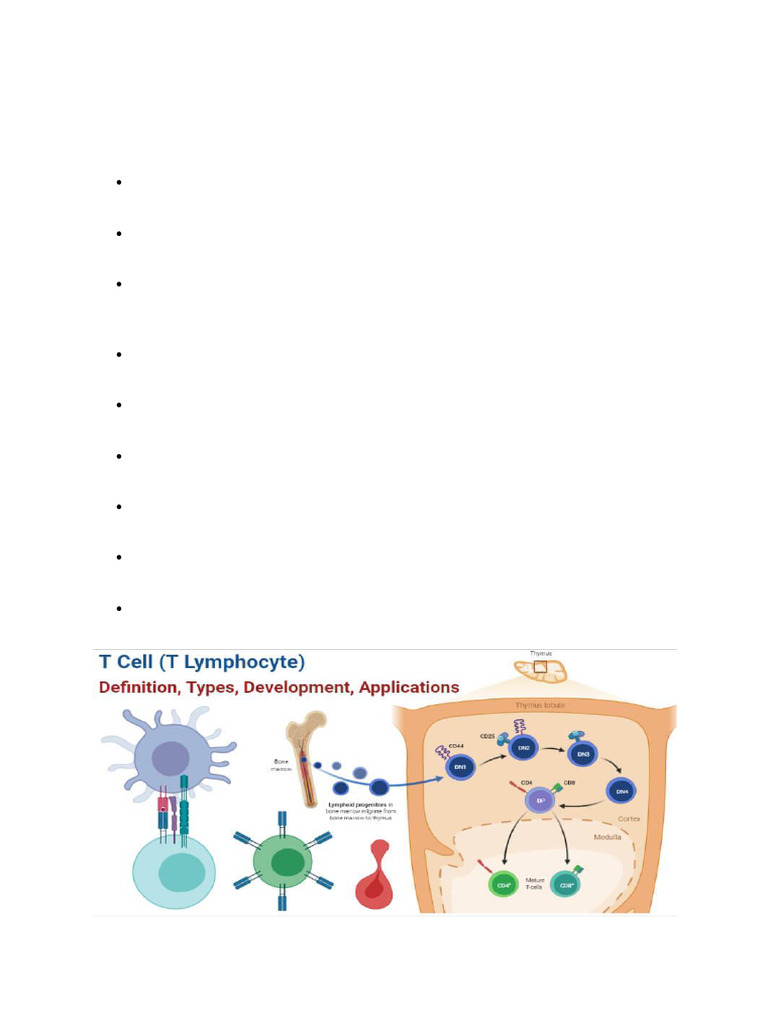 Immunology II- Unit 1 | PDF | T Cell | B Cell