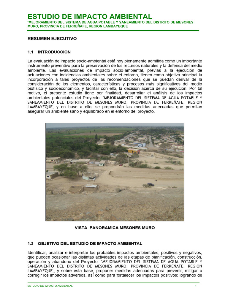 EIA - Mesones Muro - 2011 | PDF | Evaluación de impacto ambiental | Entorno natural