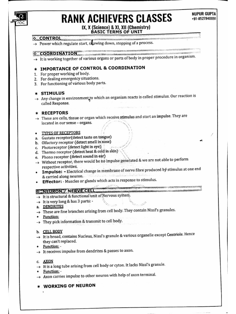 Basic Terms of Unit 07-30-2025 16-26-40 | PDF