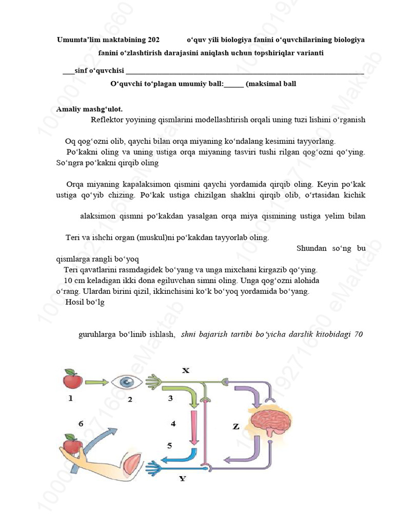 +++7 Umumta'lim 3 - BSB | PDF