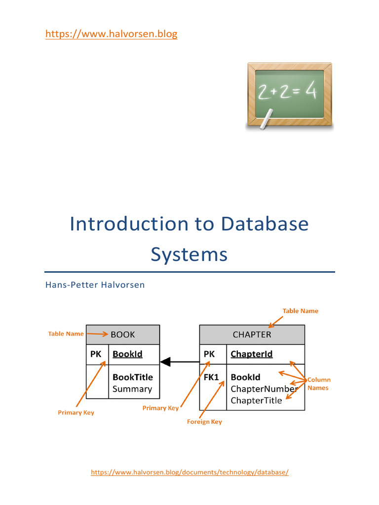 Introduction to Database Systems | PDF | Databases | Relational Database