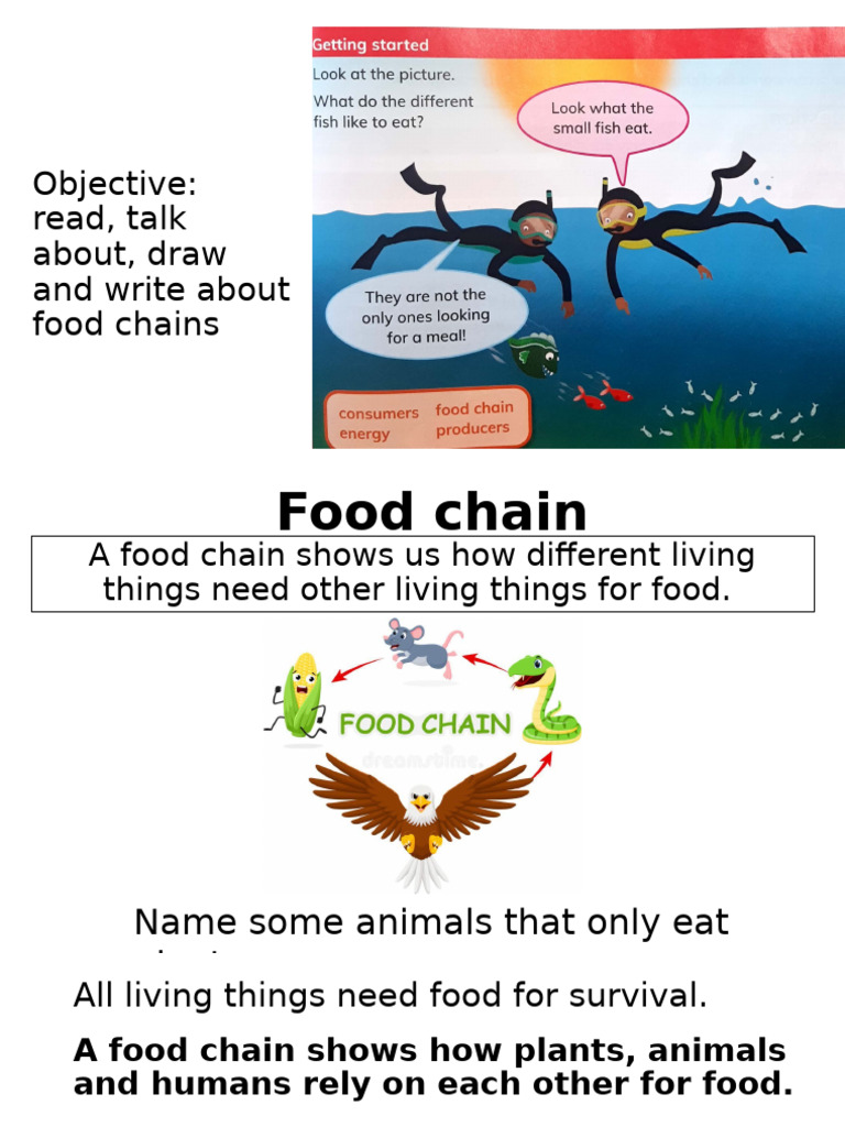 UNIT 4.3 FOOD CHAIN | PDF | Foods | Fossil