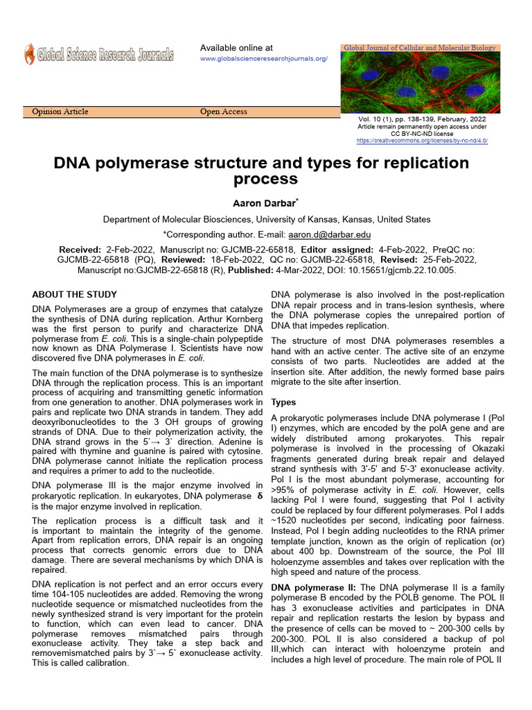 DNA Polymerase Types and Structures | PDF | Dna Replication | Dna