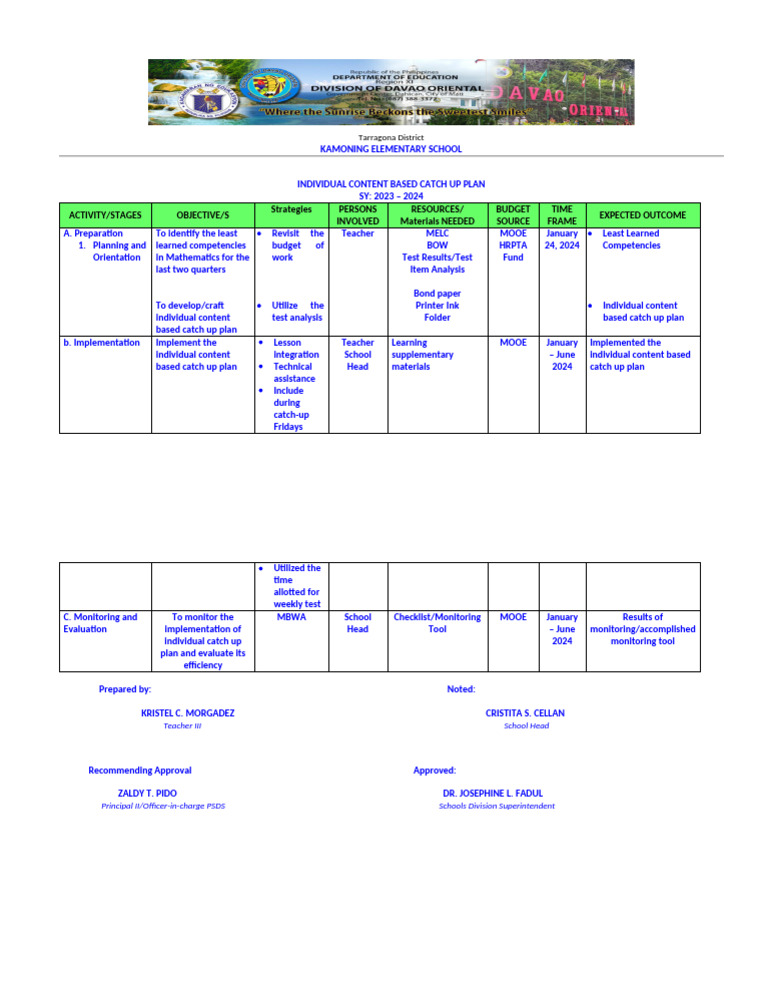 Individual Catch Up Plan | PDF
