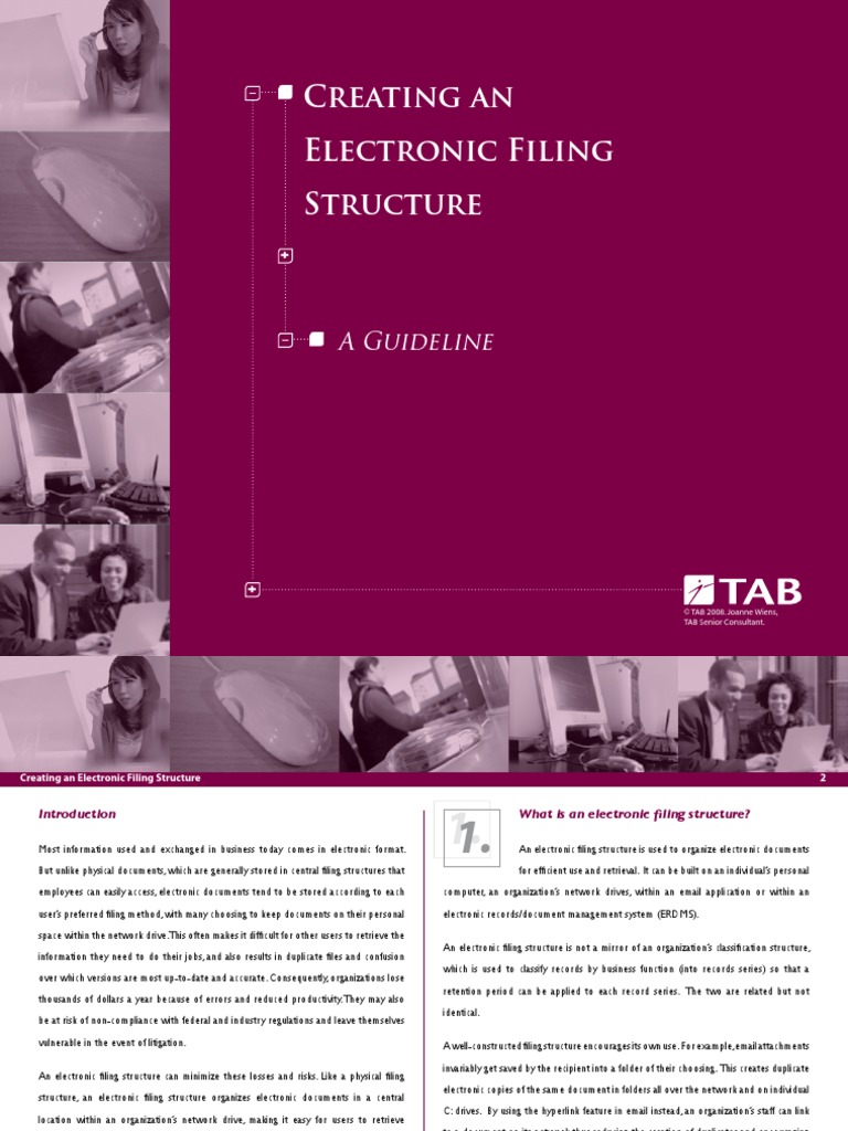 Electronic Filing Structure Guide Pdf Records Management File Format