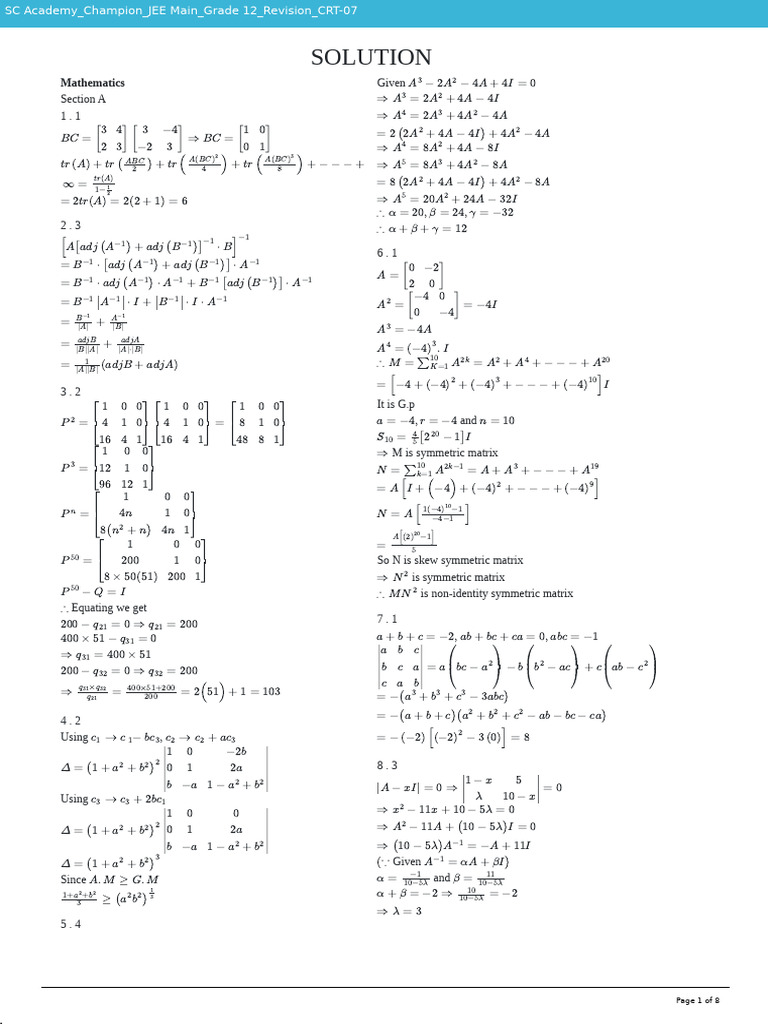 SC Academy Champion JEE Main Grade 12 Revision CRT-07-Solution | PDF ...