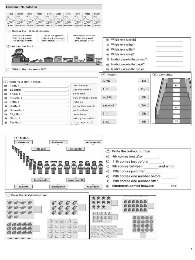 Number Sequences: Before and After | PDF