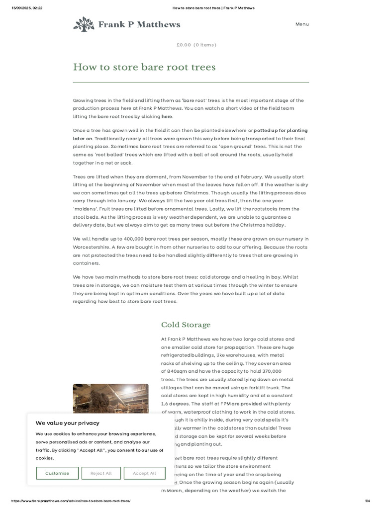 How To Store Bare Root Trees - Frank P Matthews | PDF