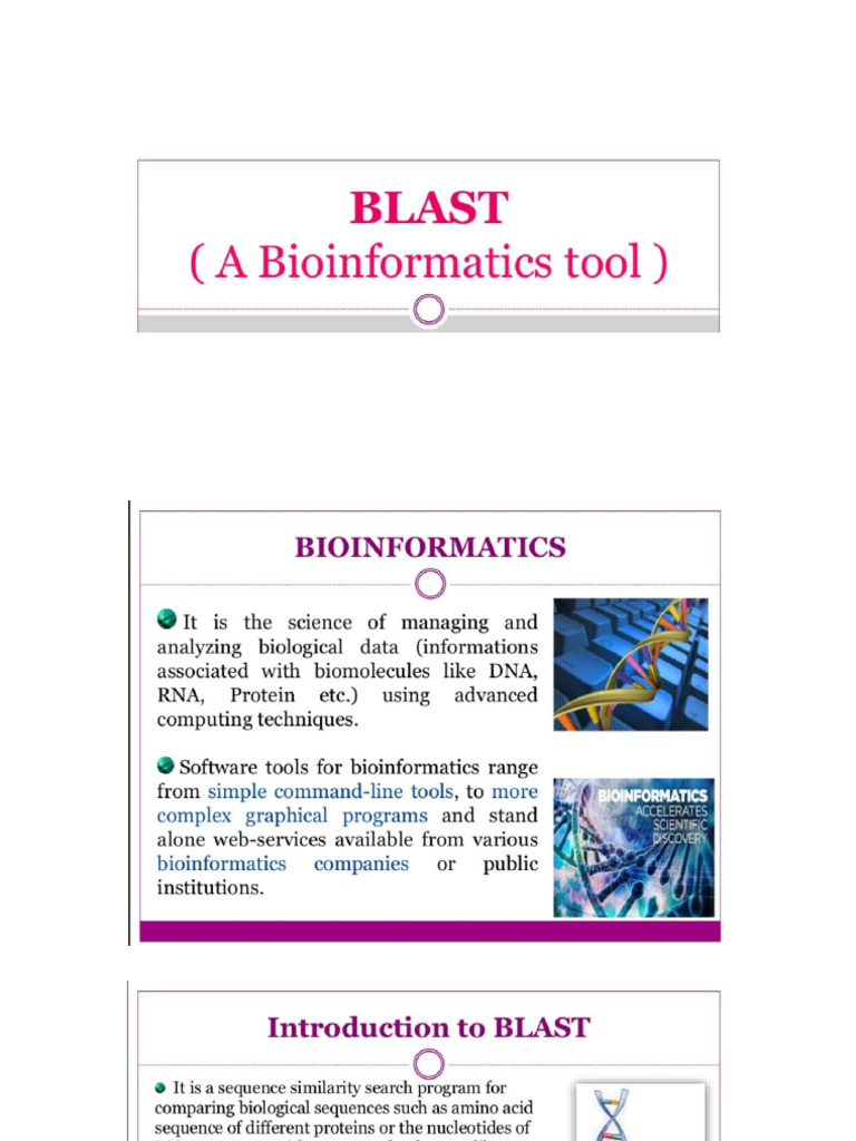 Blast | PDF
