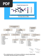 Beta-Lactam Cross-Reactivity Chart | PDF | Penicillin | Antibiotics