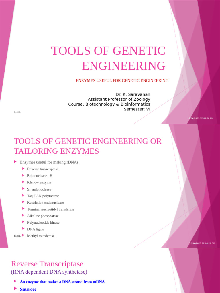Genetic Engineering Enzymes Overview | PDF | Restriction Enzyme ...