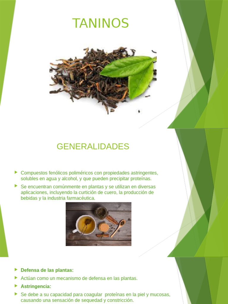 Taninos: Propiedades y Aplicaciones | PDF | Hidrólisis | Contenido ...