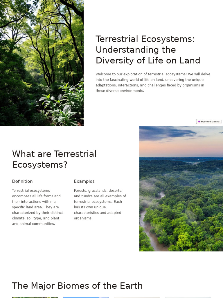 Terrestrial-Ecosystems-Understanding-the-Diversity-of-Life-on-Land ...
