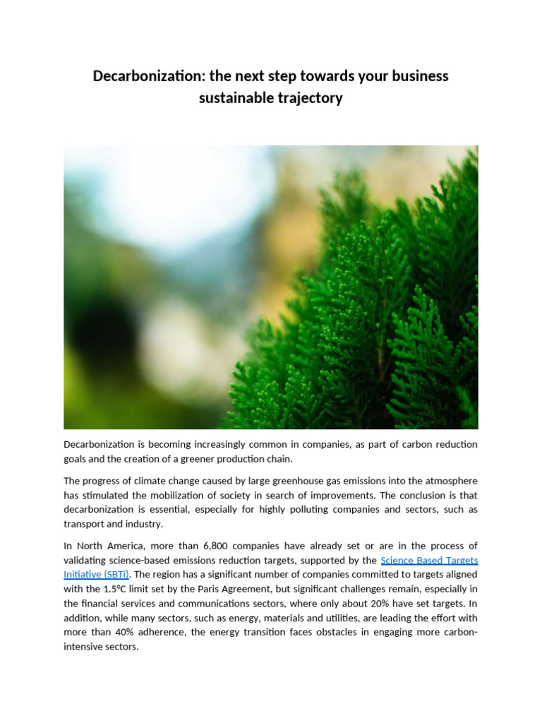 Decarbonization Strategies for Businesses | PDF | Climate Change ...