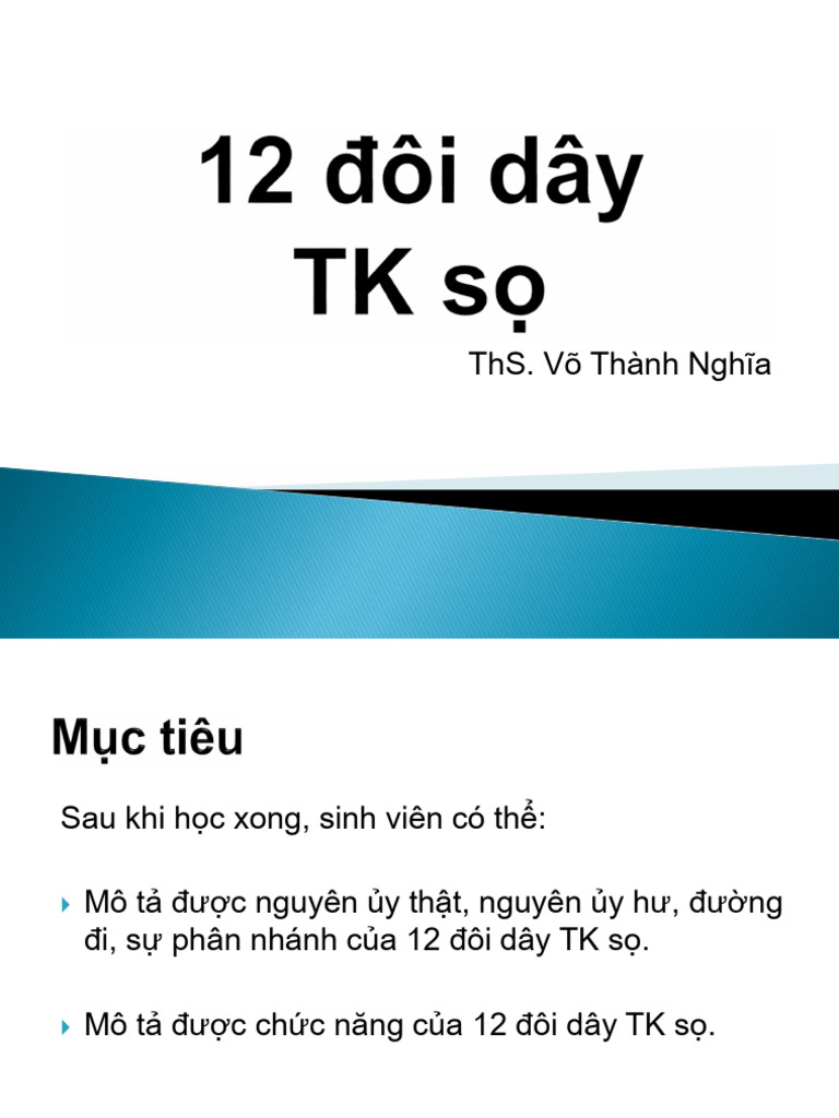 12 TK | PDF