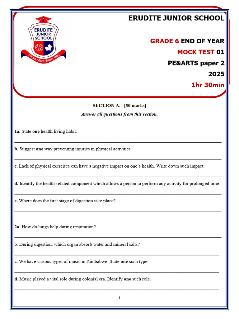 Grade 6 PE & Arts Mock Test 2025 | PDF