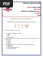 Plusone Pe & Arts HBC Grade 6 | PDF