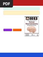 Nim in Action 1st Edition Dominik Picheta ebook full reading access ...