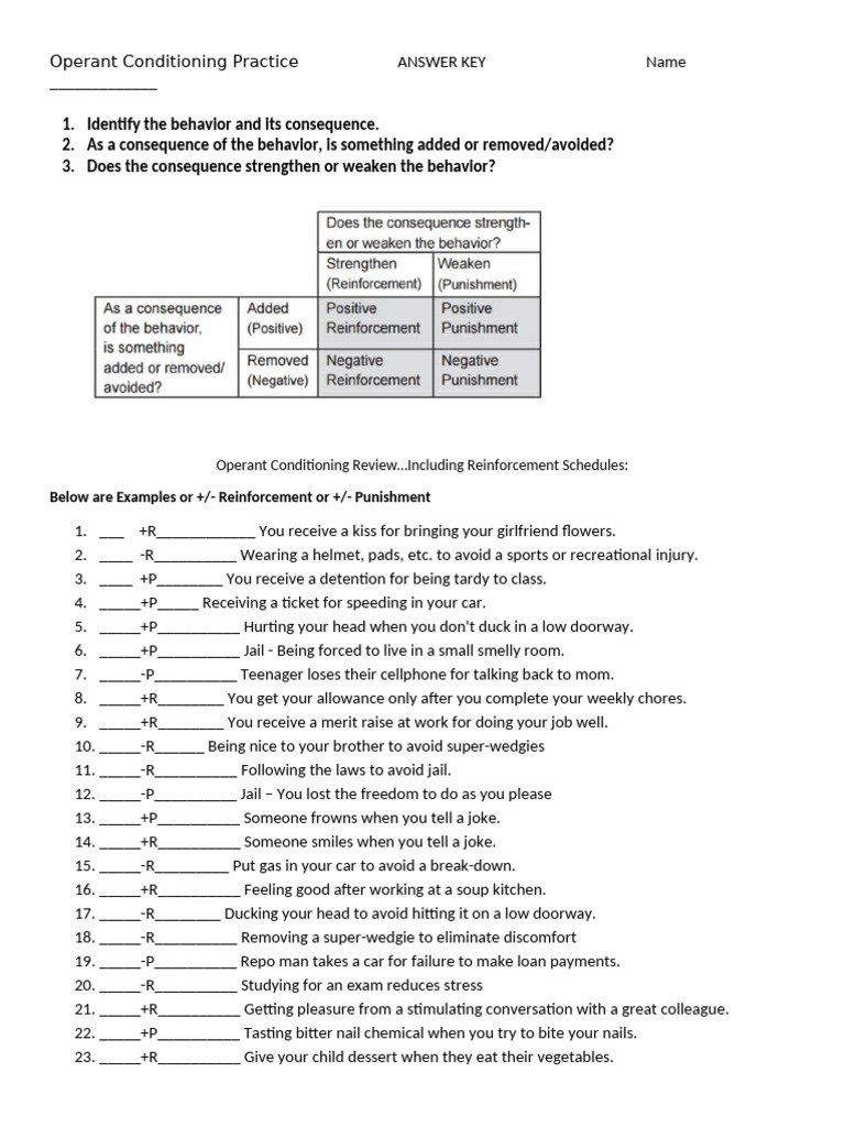 Operant Conditioning Practice Guide | PDF