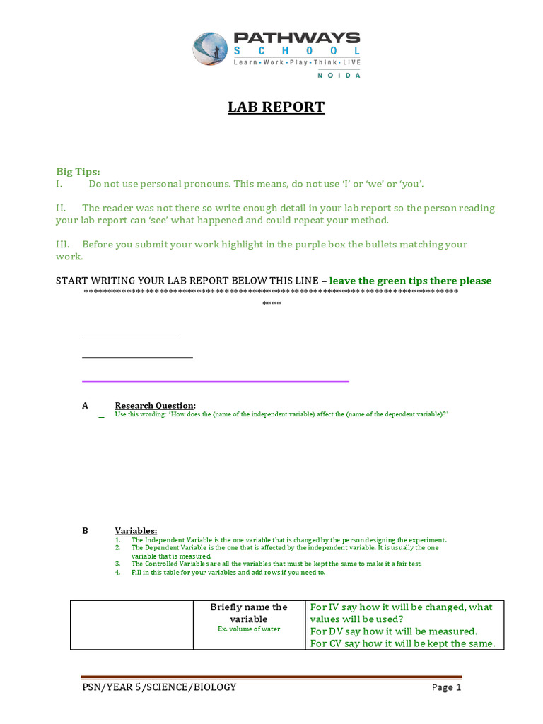 Criteria BC LAB FORMAT (For Writing With Green Tips) | PDF | Data ...