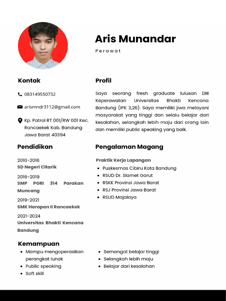 Cv Aris Munandar | PDF