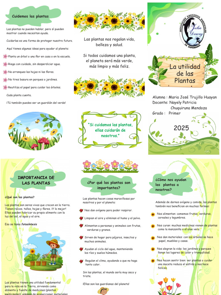 Plant As | PDF | Plantas | Arboles