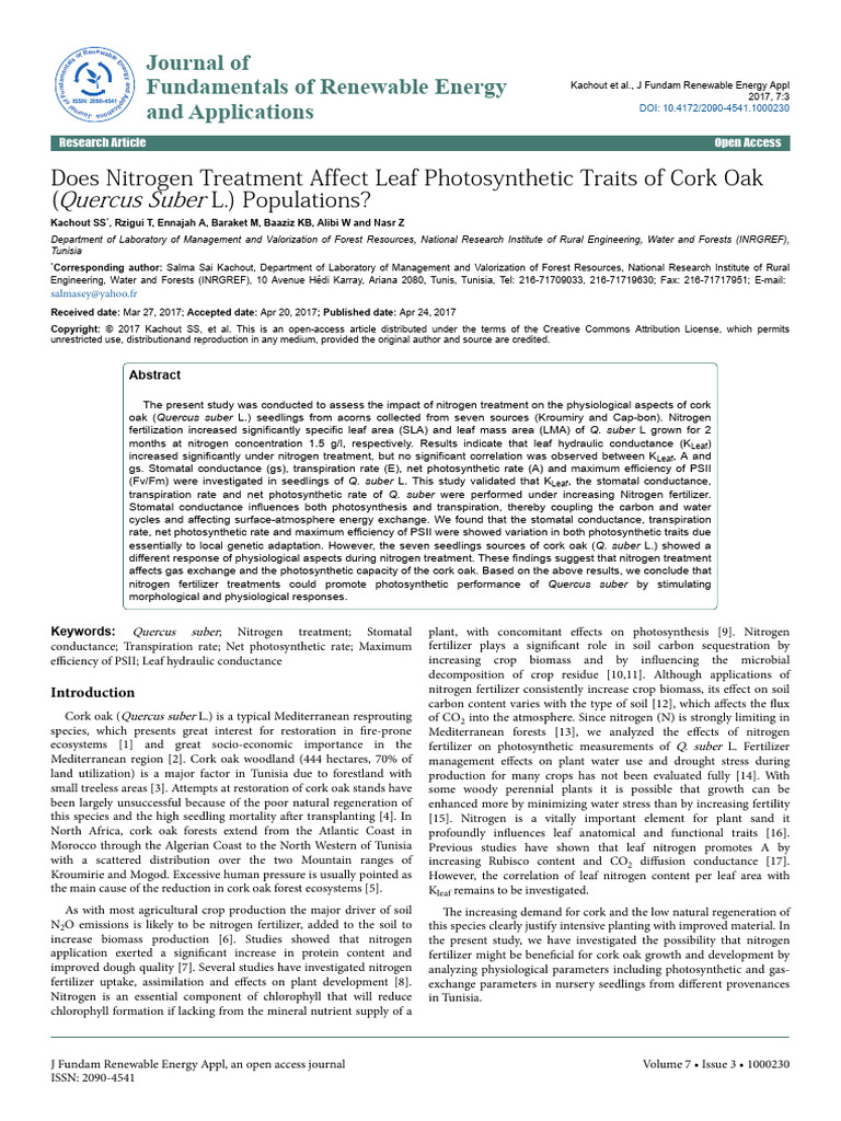 6. Fundam Renewable Energy Appl 2017 | PDF | Photosynthesis | Stoma