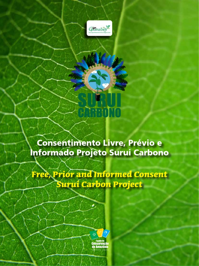 Free, Prior and Informed Consent Surui Carbon Project | PDF