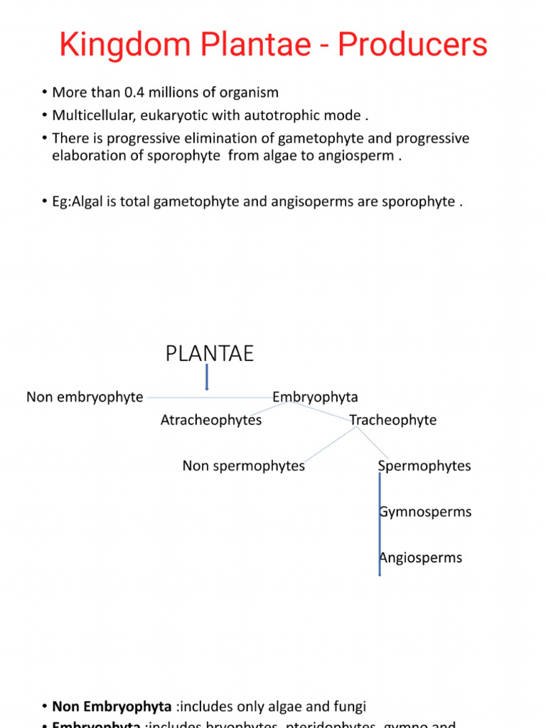Algae - Complete Note | PDF