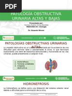 Obstrucción y Estasis Urinaria: Diagnóstico y Tratamiento | PDF ...