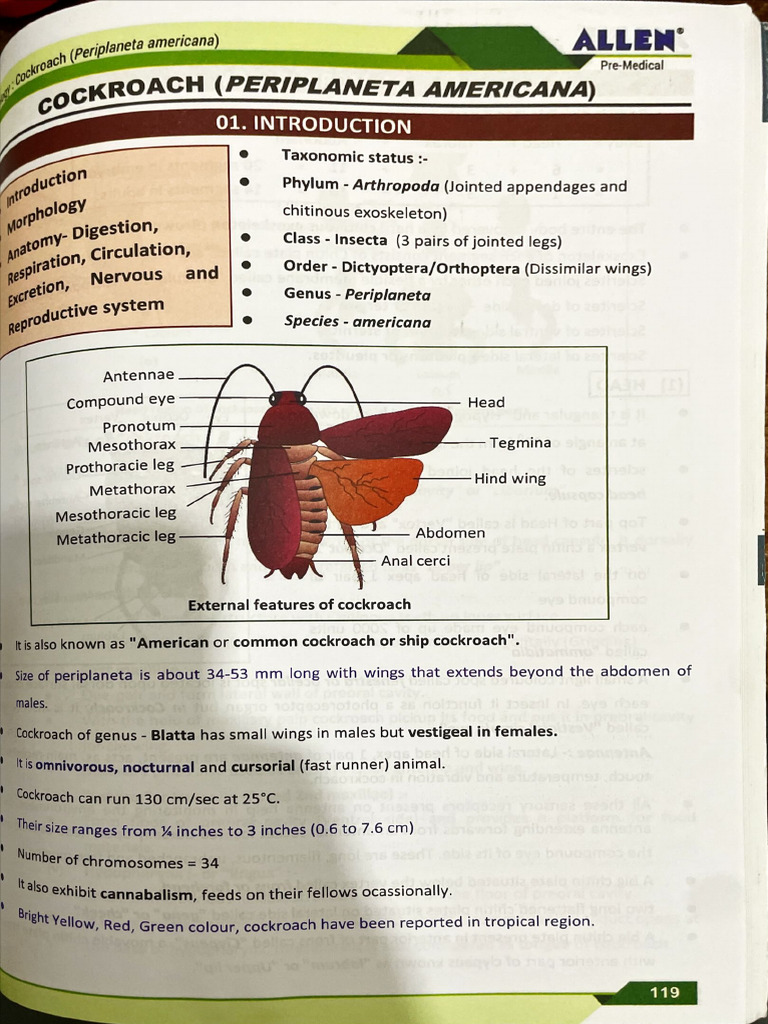 Allen 2026 Neet Modules (Cockroach) | PDF