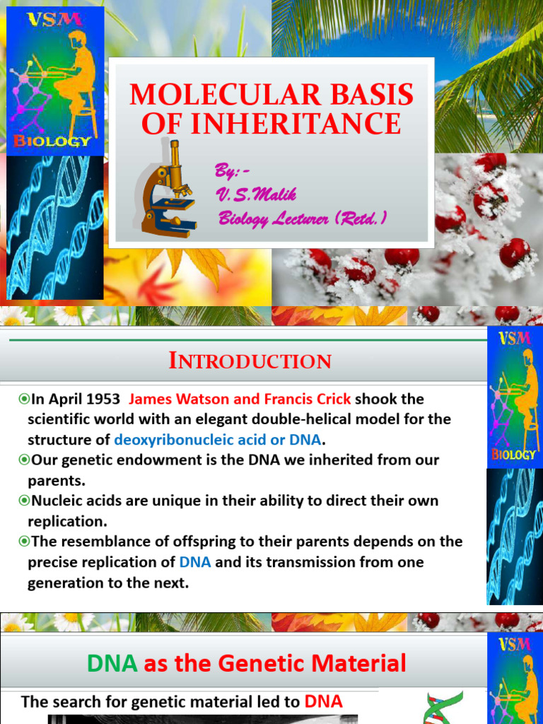 Molecular Basis of Inheritance | PDF | Dna Replication | Primer ...