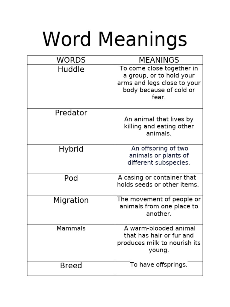 Essential Word Meanings Explained | PDF