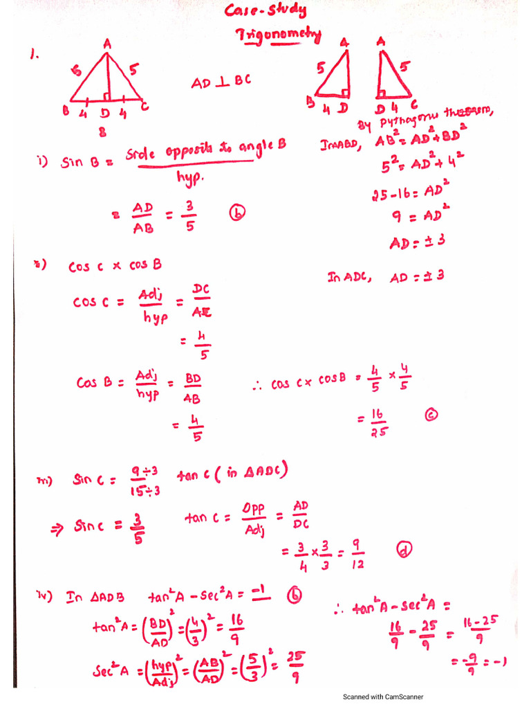 10th Trig. Case Study | PDF