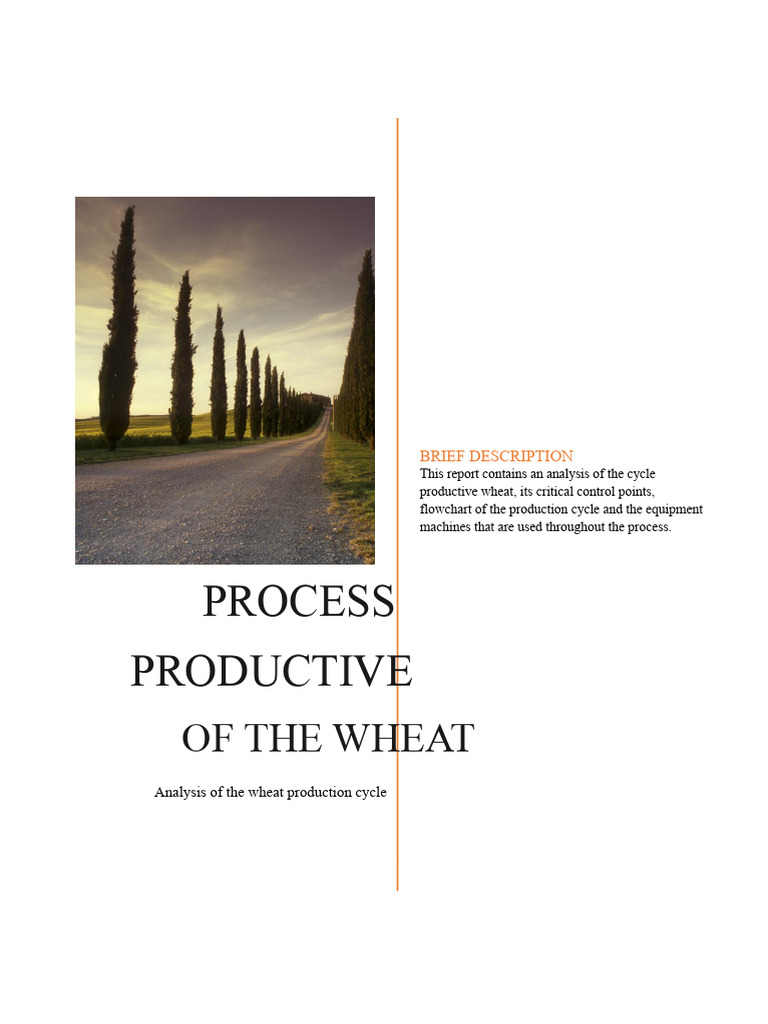 Wheat Production Cycle Analysis Report | PDF | Flour | Cereals