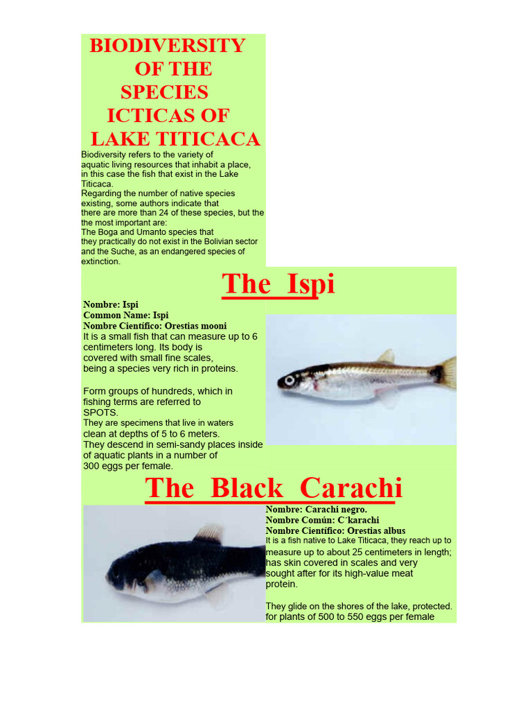 Biodiversity of The Aquatic Species of Lake Titicaca | PDF | Fish And ...
