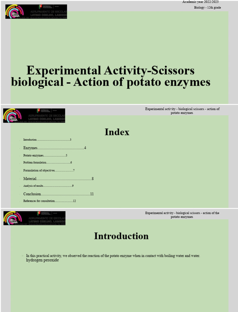 practical activity - potato enzyme (catalase) final 2 | PDF | Enzyme ...