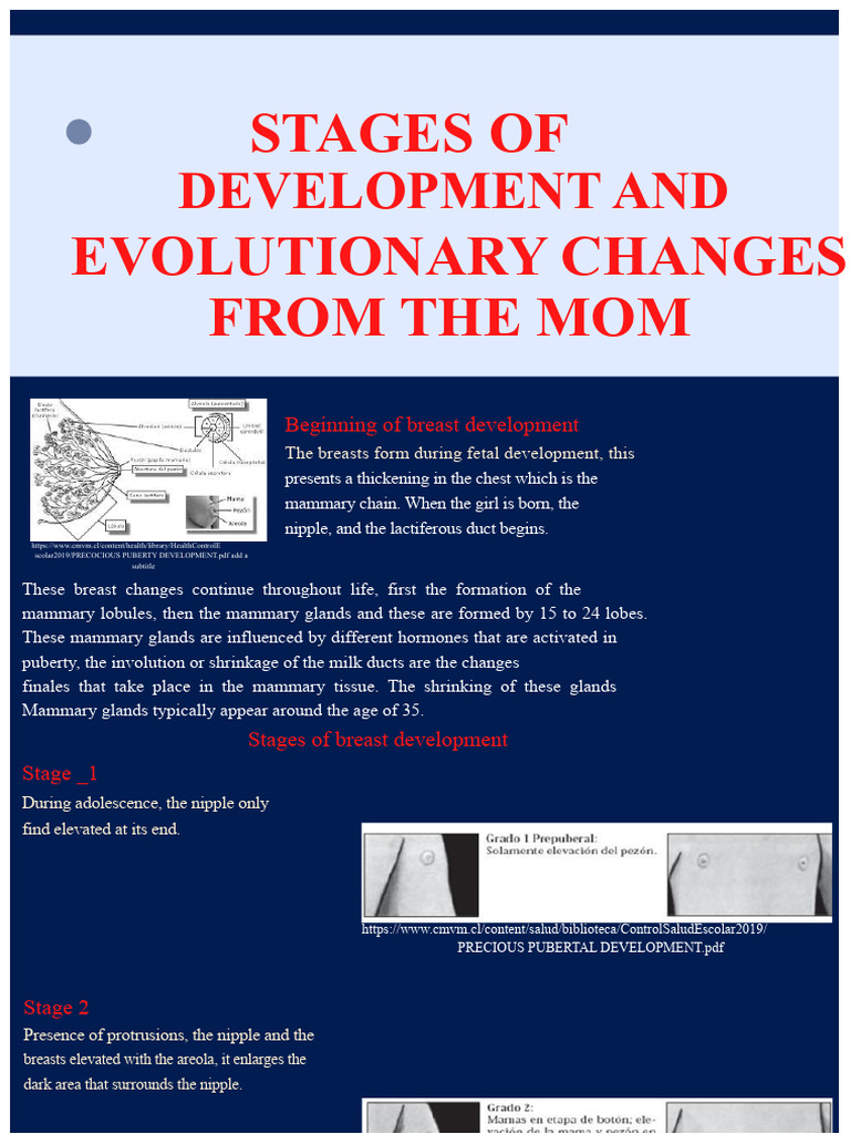Stages of Development and Evolutionary Changes of The Breast | PDF