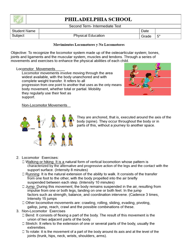 Physical Education Locomotor and Non-Locomotor Movements | PDF | Animal ...