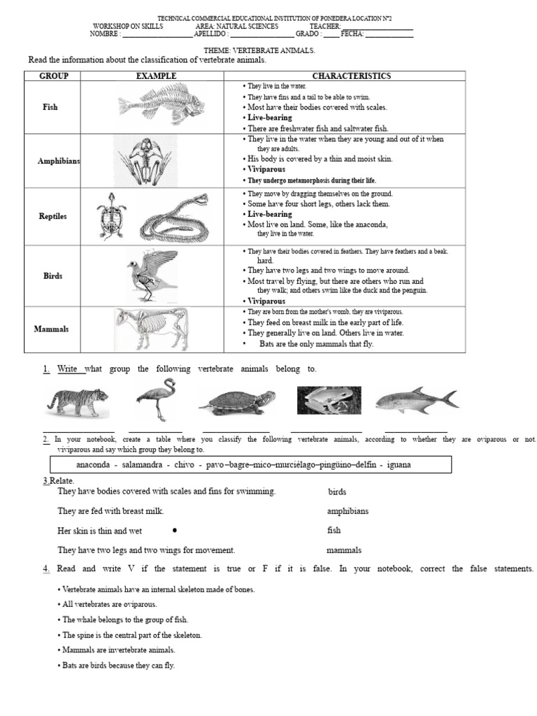 Vertebrate Animals Workshop Guide | PDF | Vertebrates | Amphibian