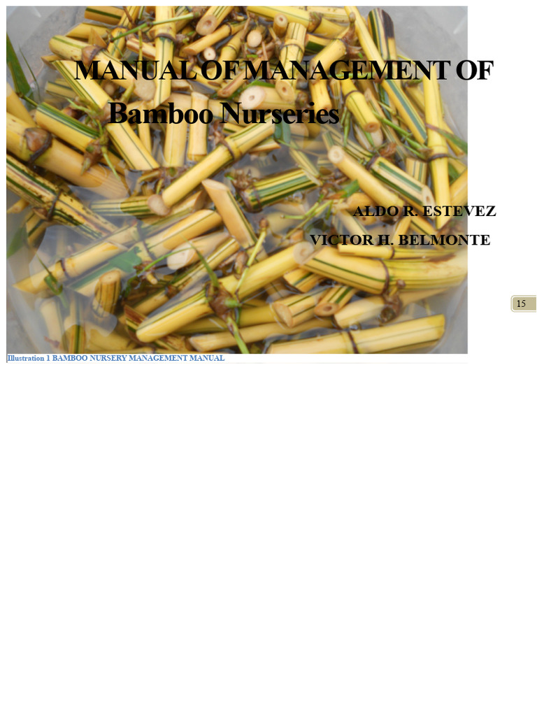 Bamboo Nursery Management Guide | PDF | Plant Nursery | Pest (Organism)