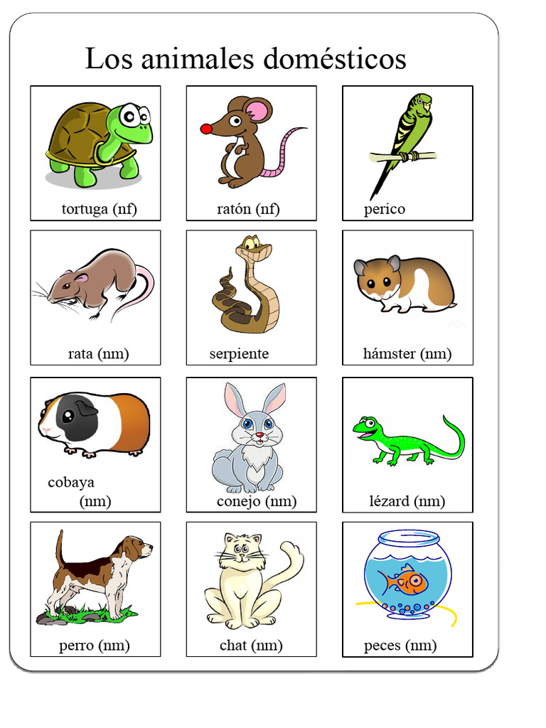 Los Animales Diccionario Visual - 46416 | PDF