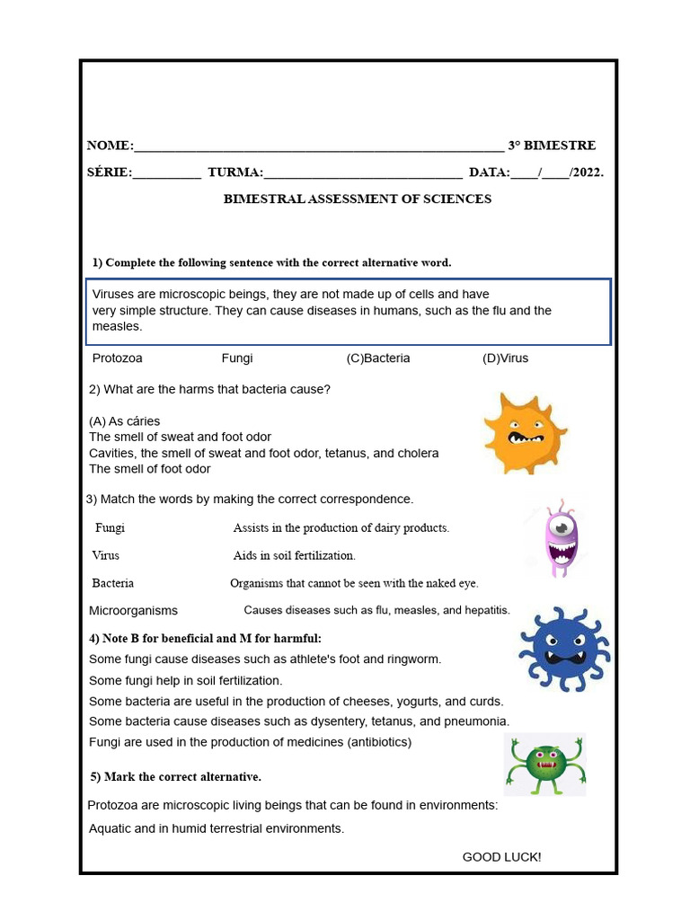 4th Grade Science Assessment | PDF