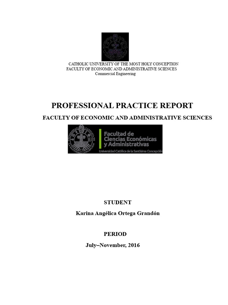 Professional Practice Report.docx | PDF | Marketing | Entrepreneurship