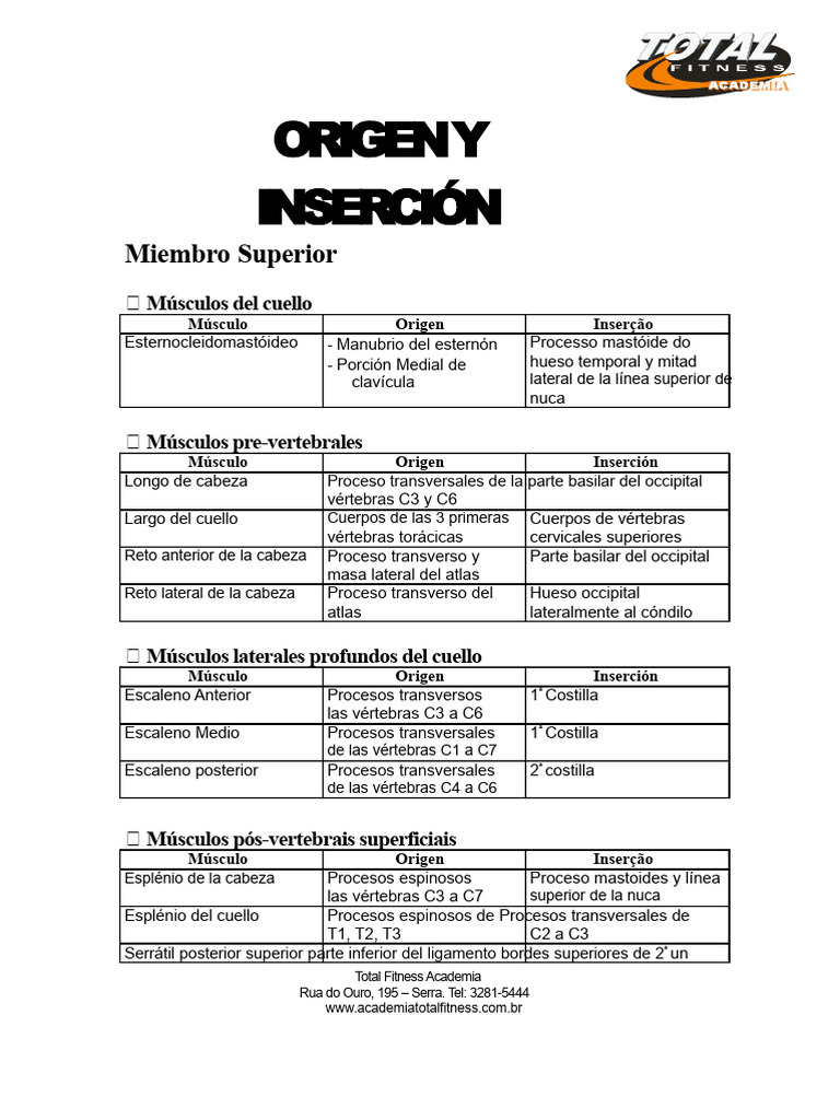 Músculos - Origen e Inserción | PDF | Extremidades (anatomía) | Anatomía humana