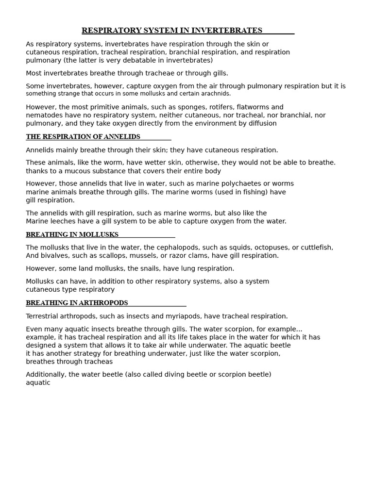 Invertebrate Respiratory Systems Explained | PDF | Gill | Respiratory ...