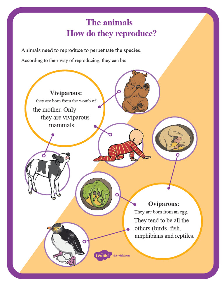 Animal Reproduction Methods Explained | PDF